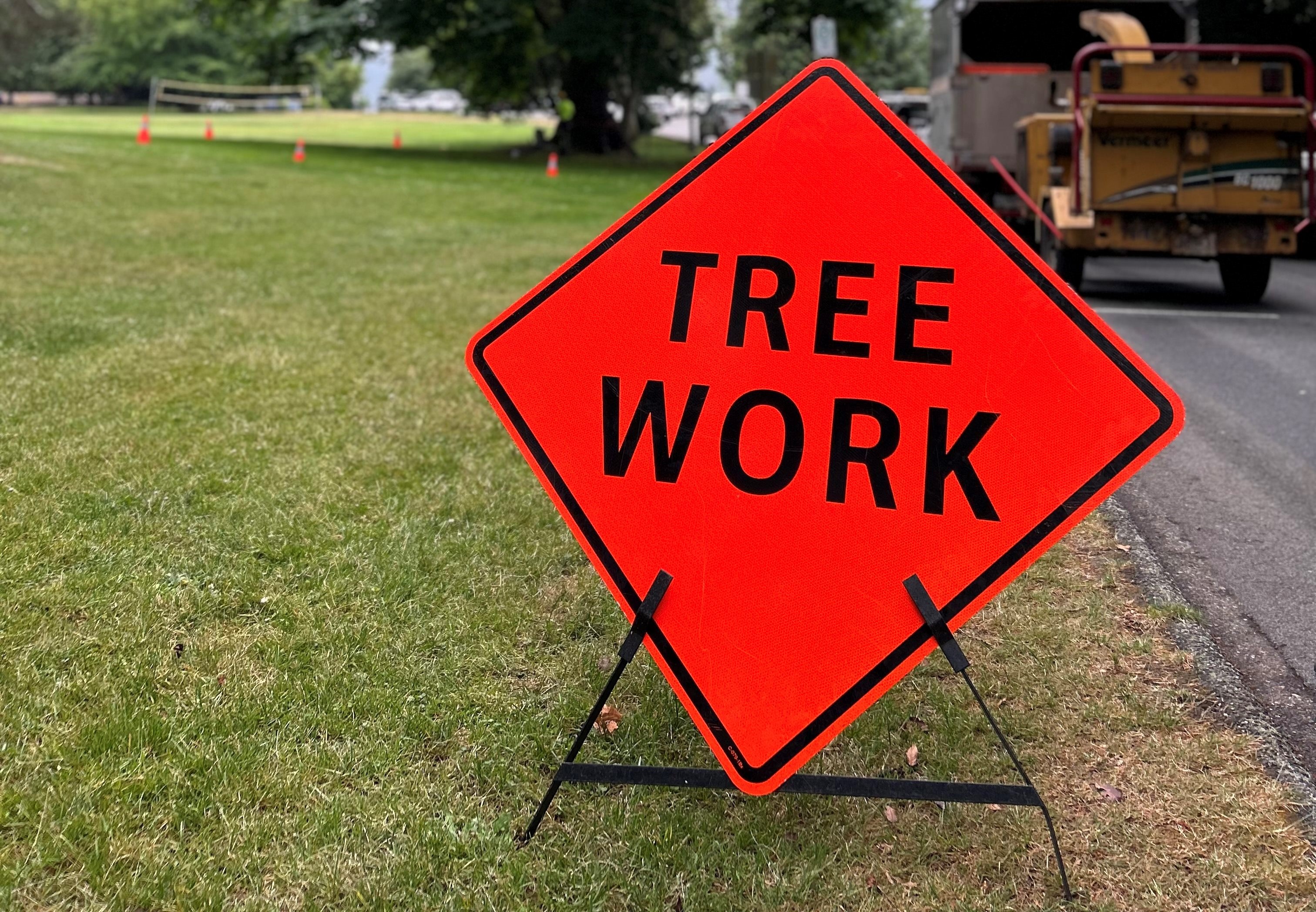 Managing hazard trees