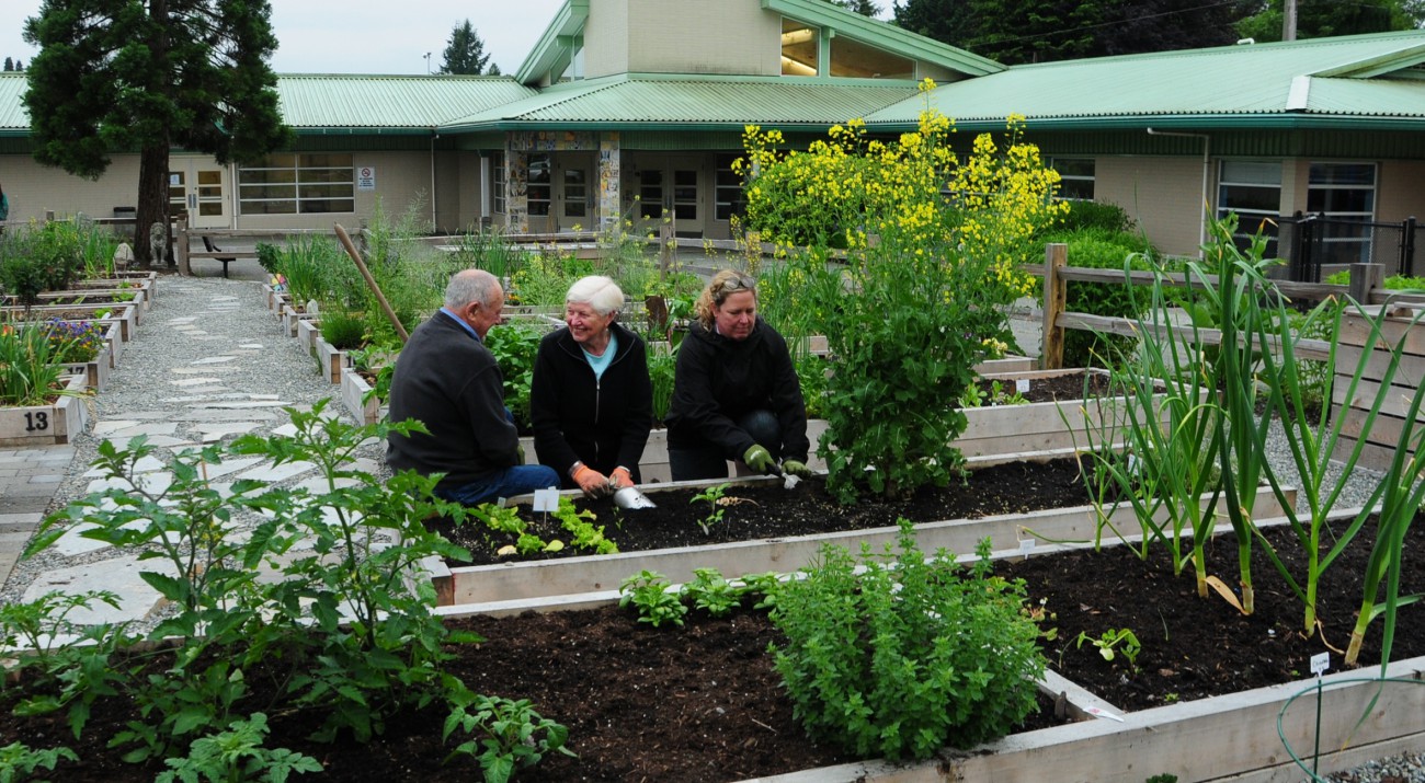 Food and sustainable food systems