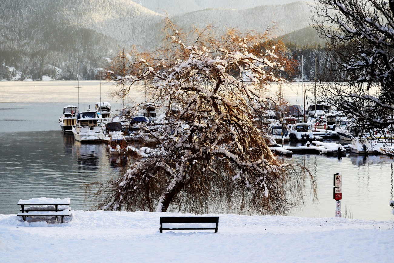 Extreme cold: Plan ahead to stay safe