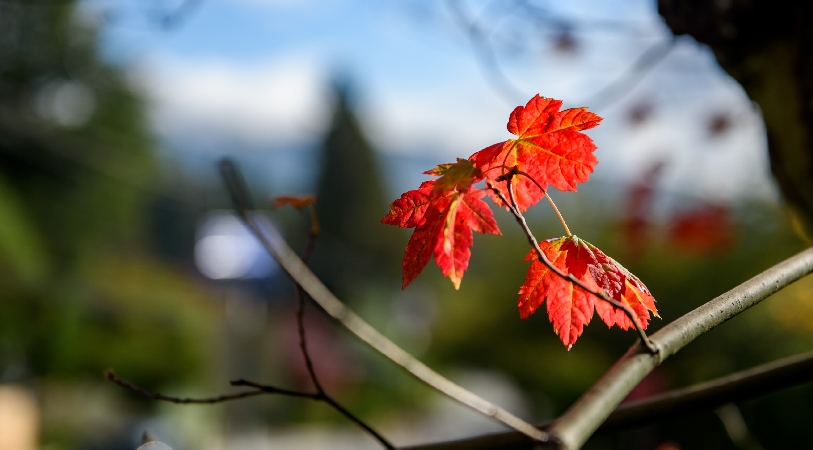 The 2025 Fall Community Report is now available