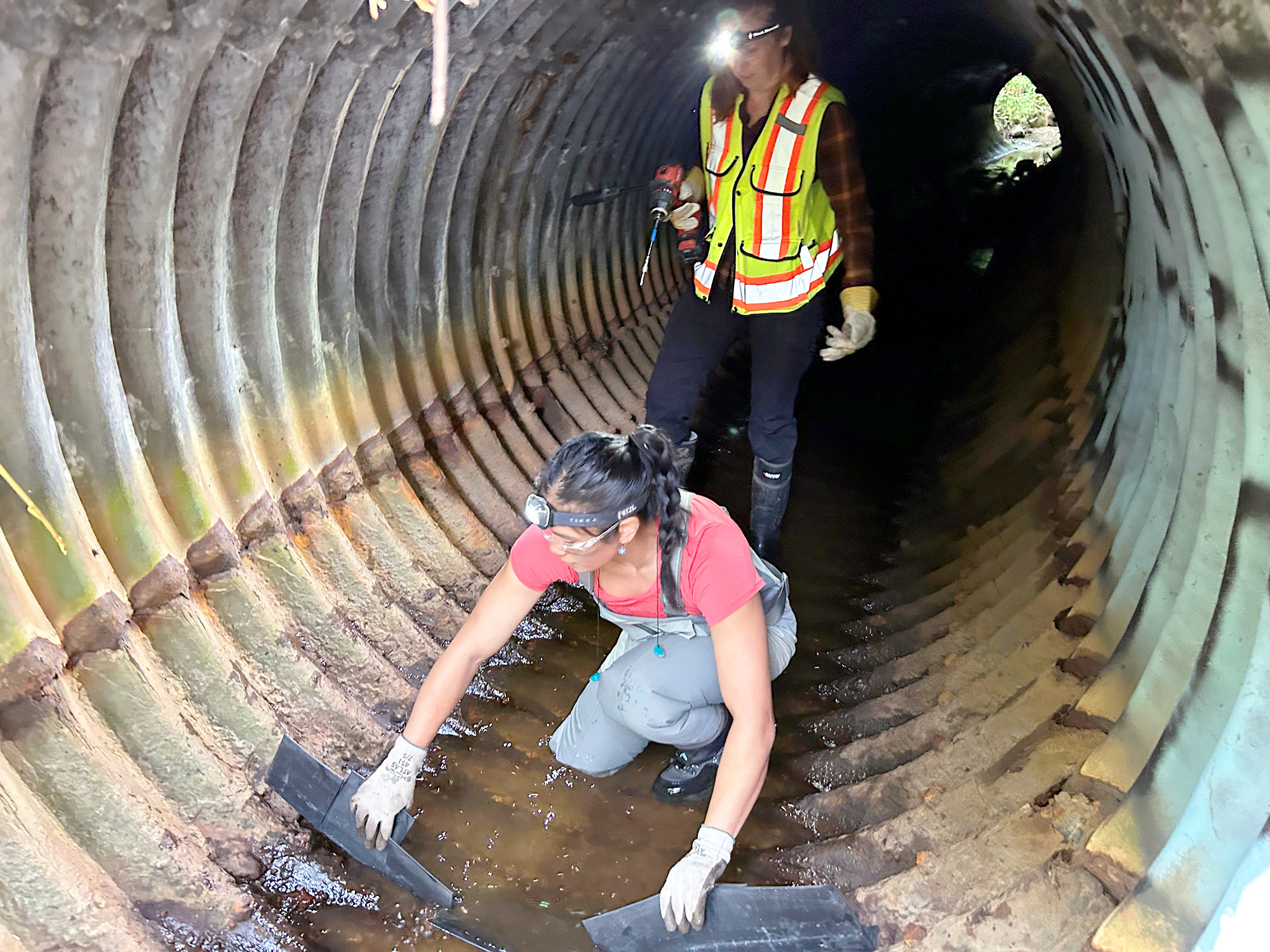 Pilot project to make culverts more fish-friendly