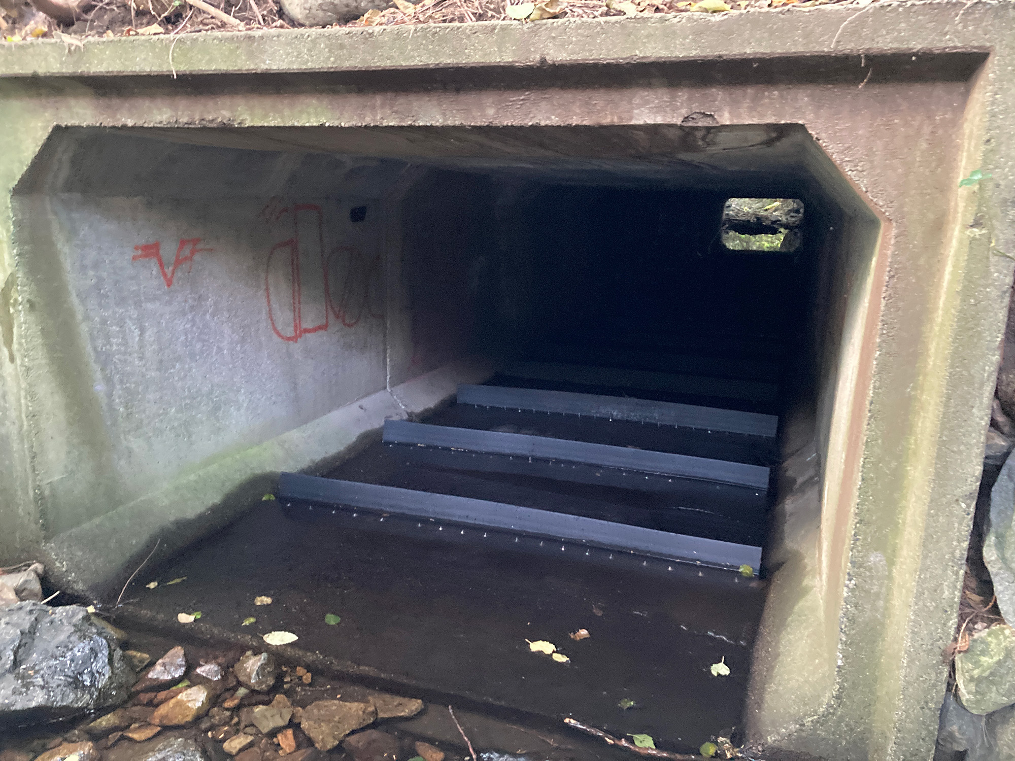Pilot project to make culverts more fish-friendly