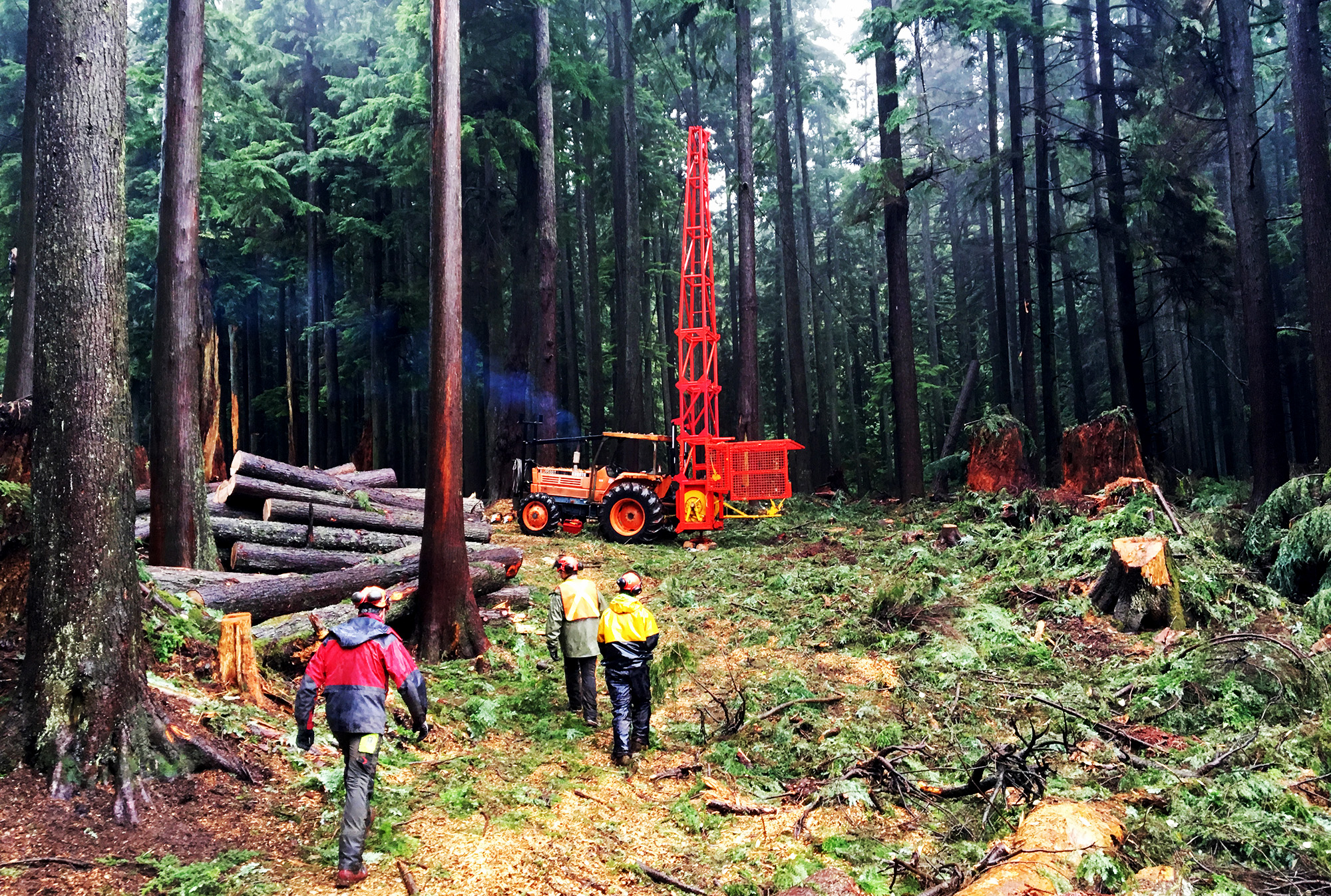 Wildfire safety starts with healthy forests and smart communities