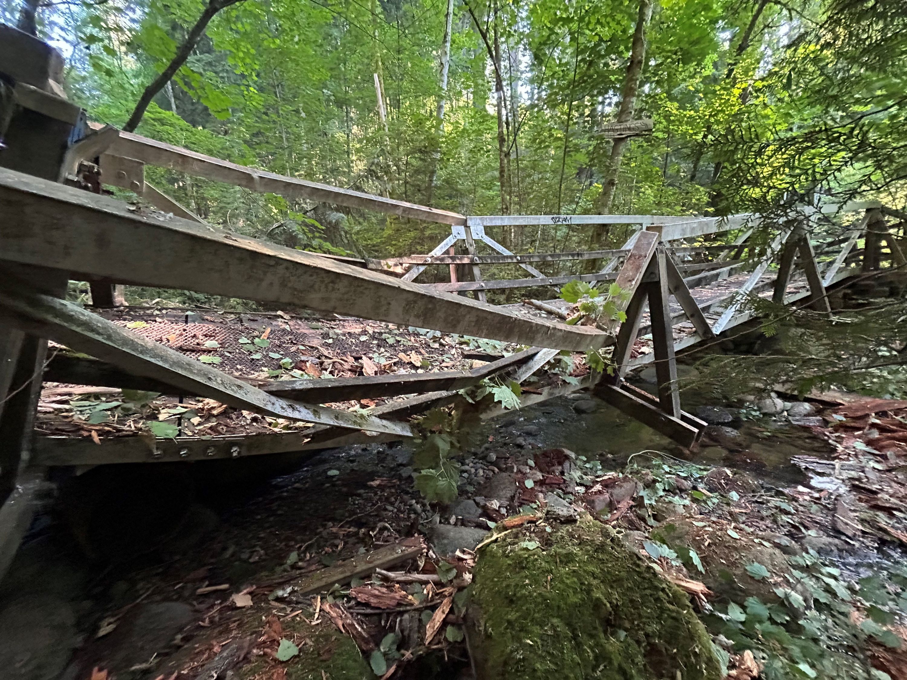 Hastings Creek Trail