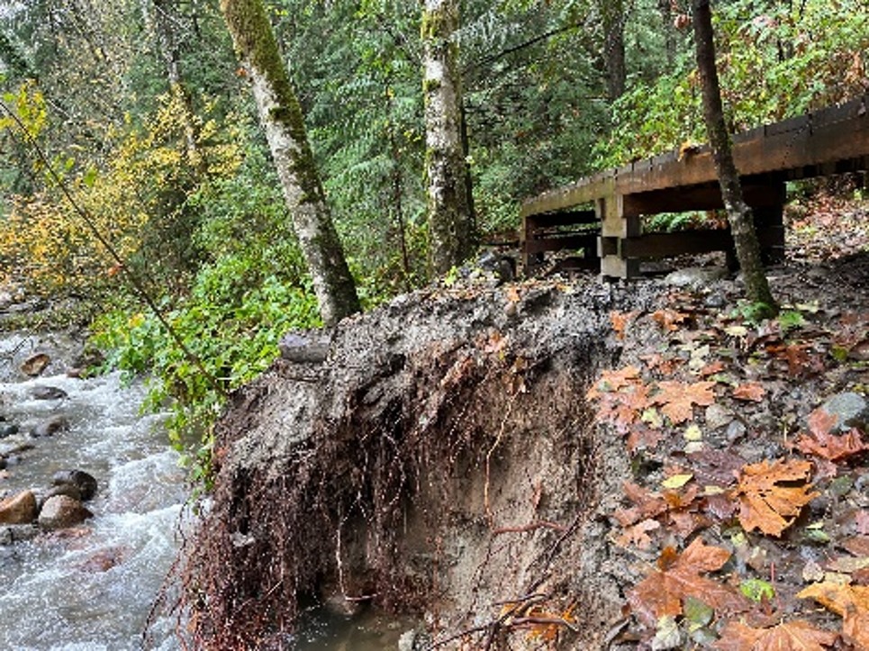 Hastings Creek Trail