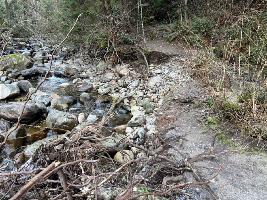 Hastings Creek Trail