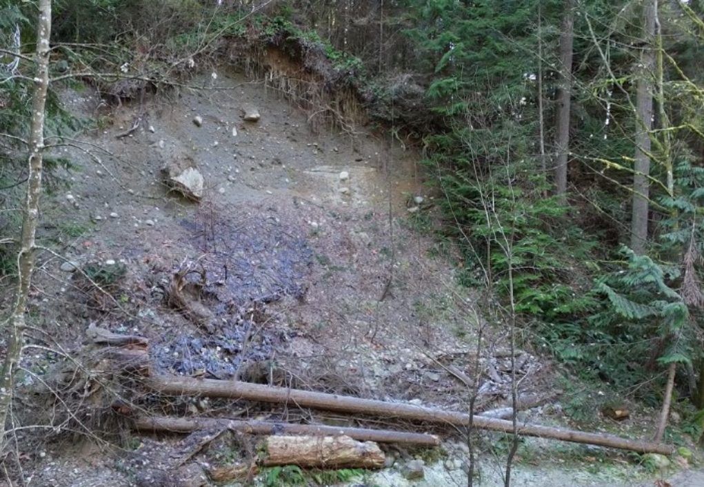 Hastings Creek Trail