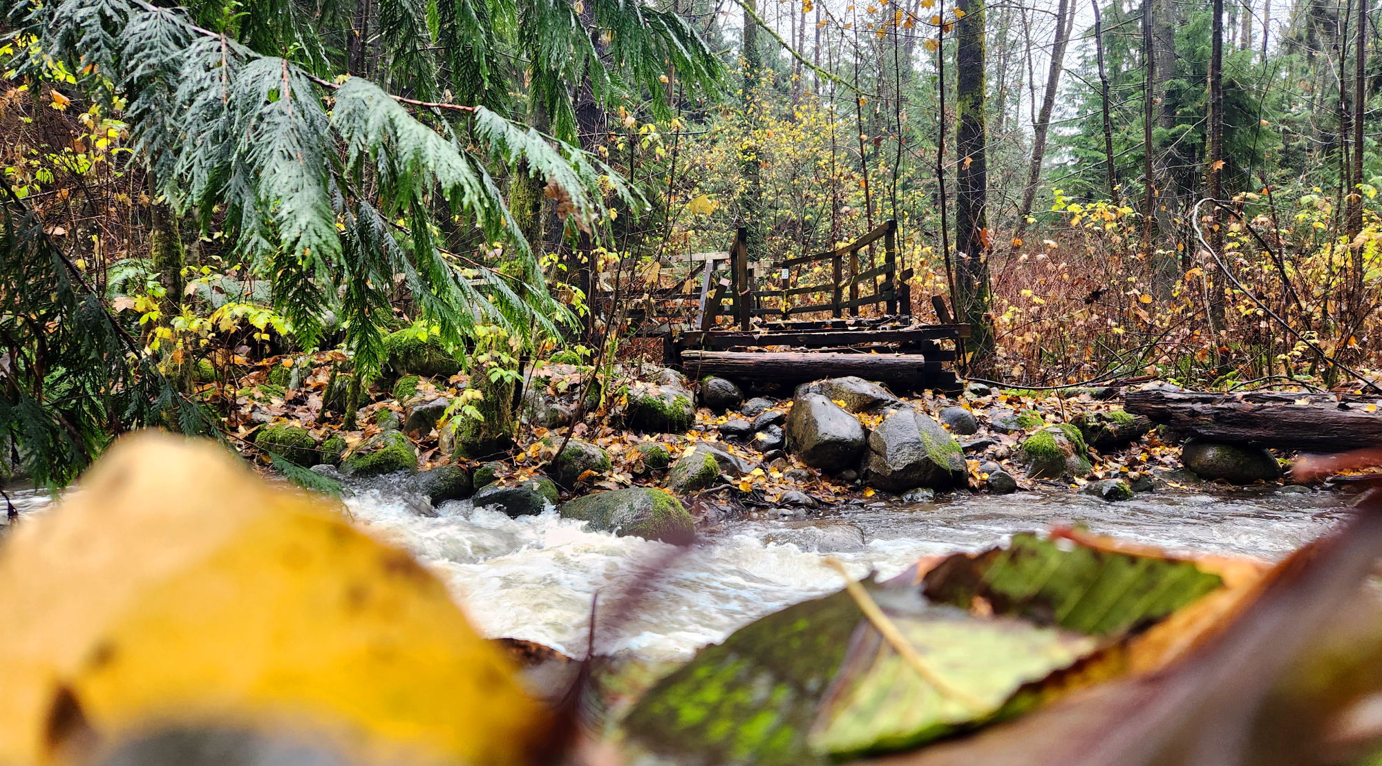 Hastings Creek Trail