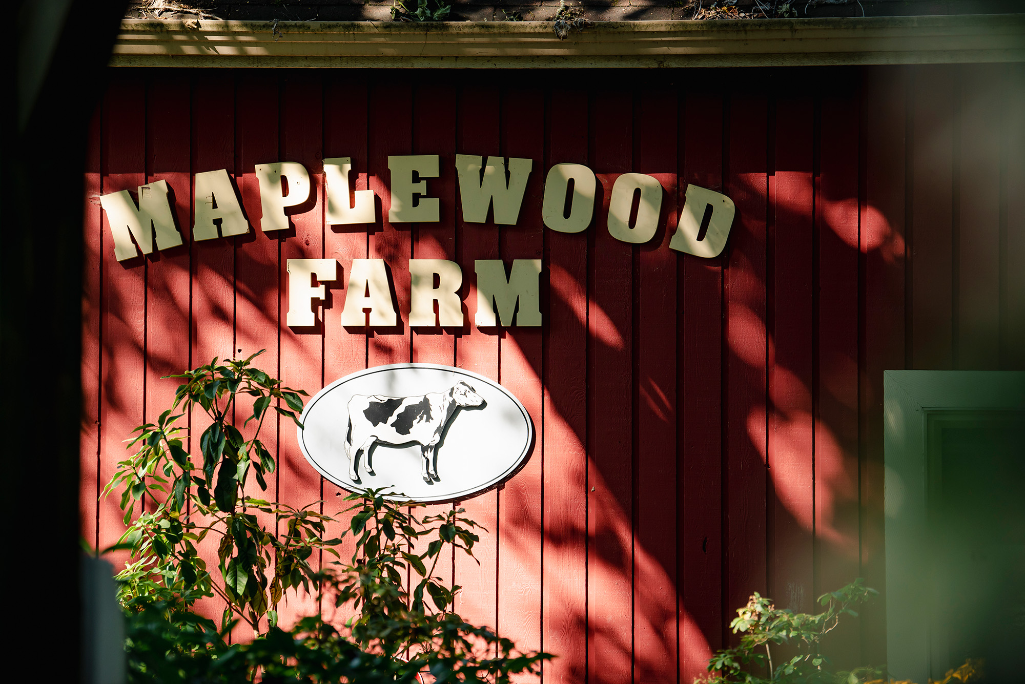 Maplewood Farm turns 50