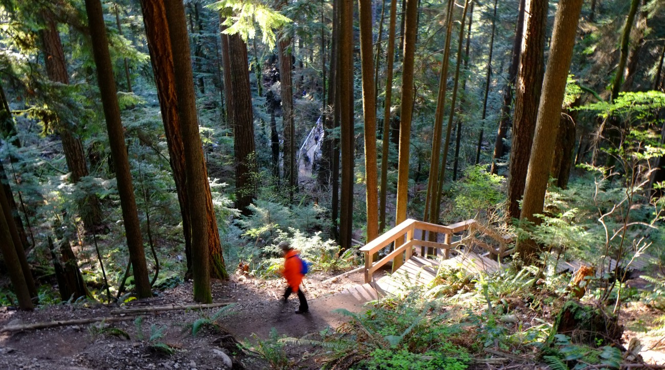 Planning our parks and open spaces