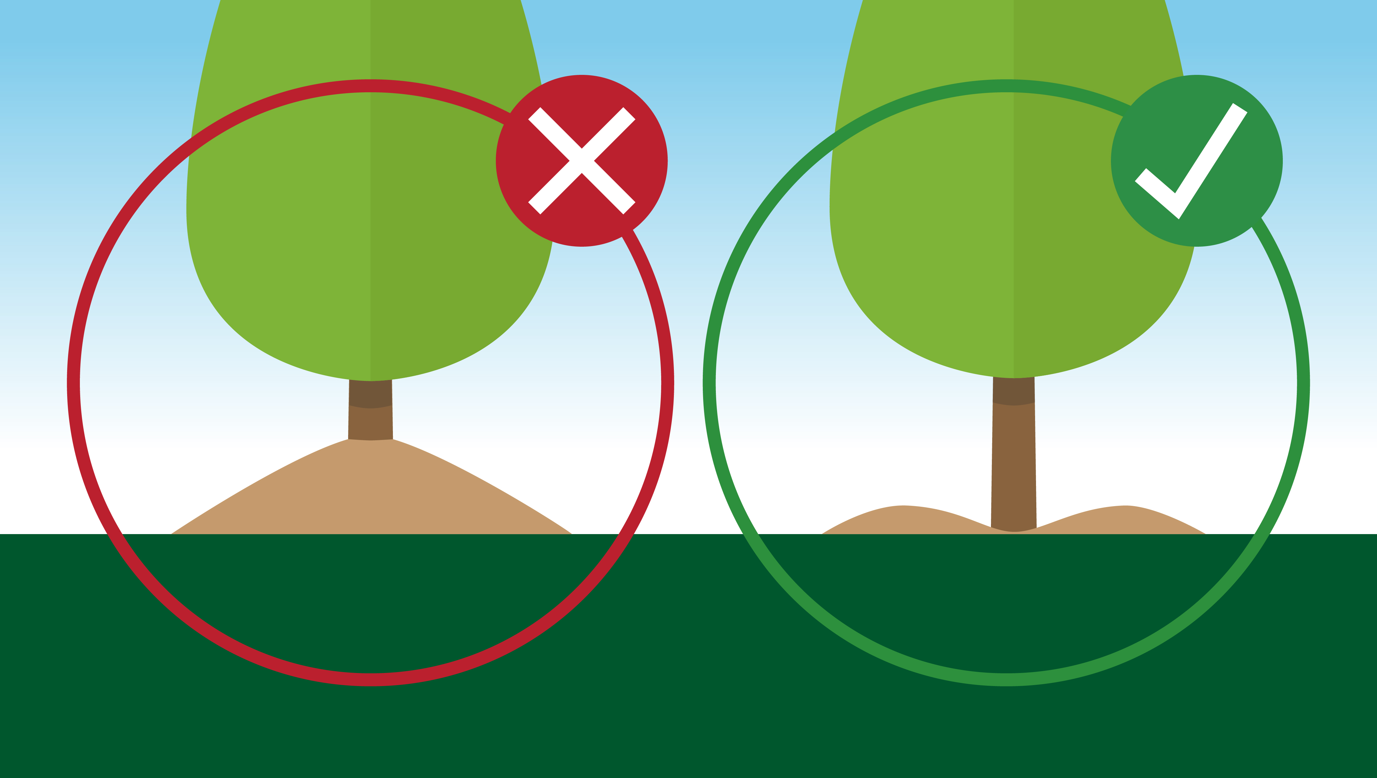 Request a street tree