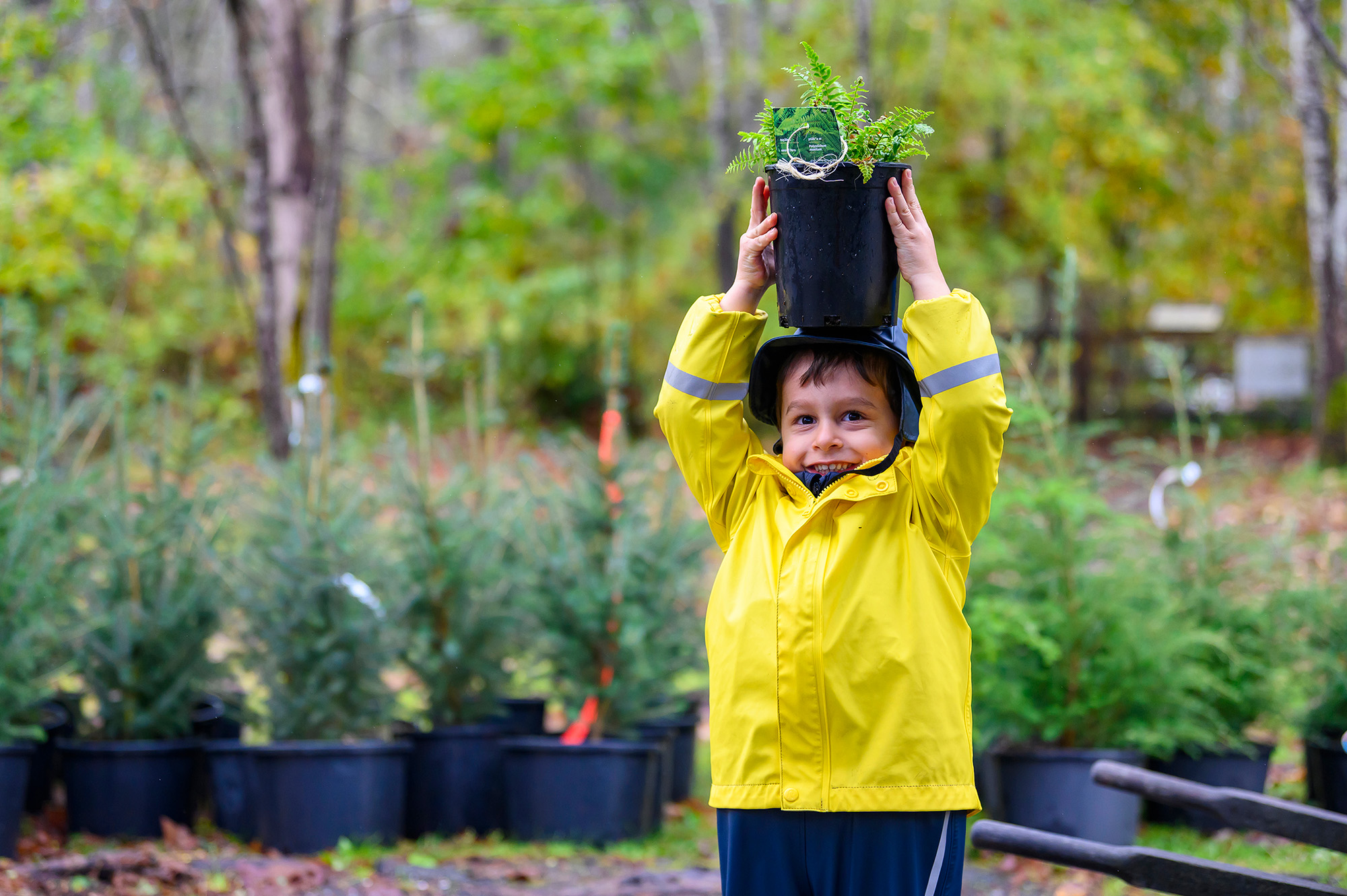 We are growing together: Urban Tree Canopy Project